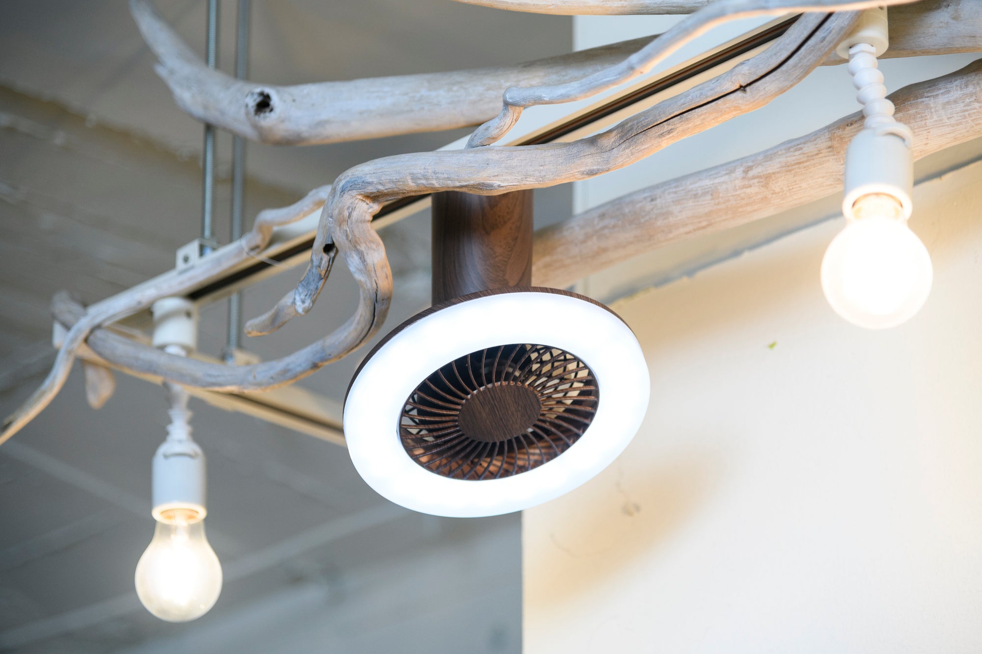 UZUKAZE mini – SWAN ONLINE STORE