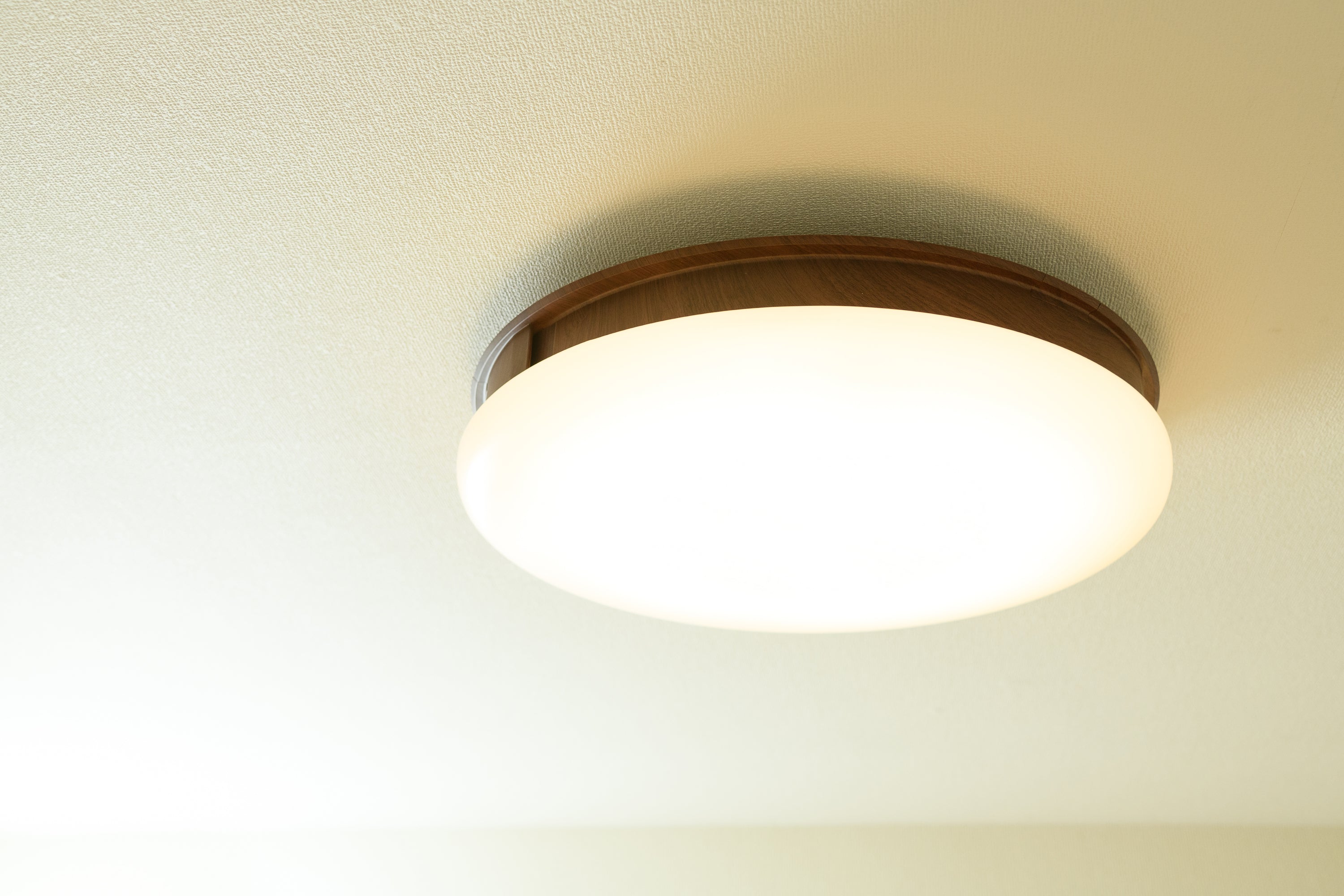 UZUKAZE – SWAN ONLINE STORE