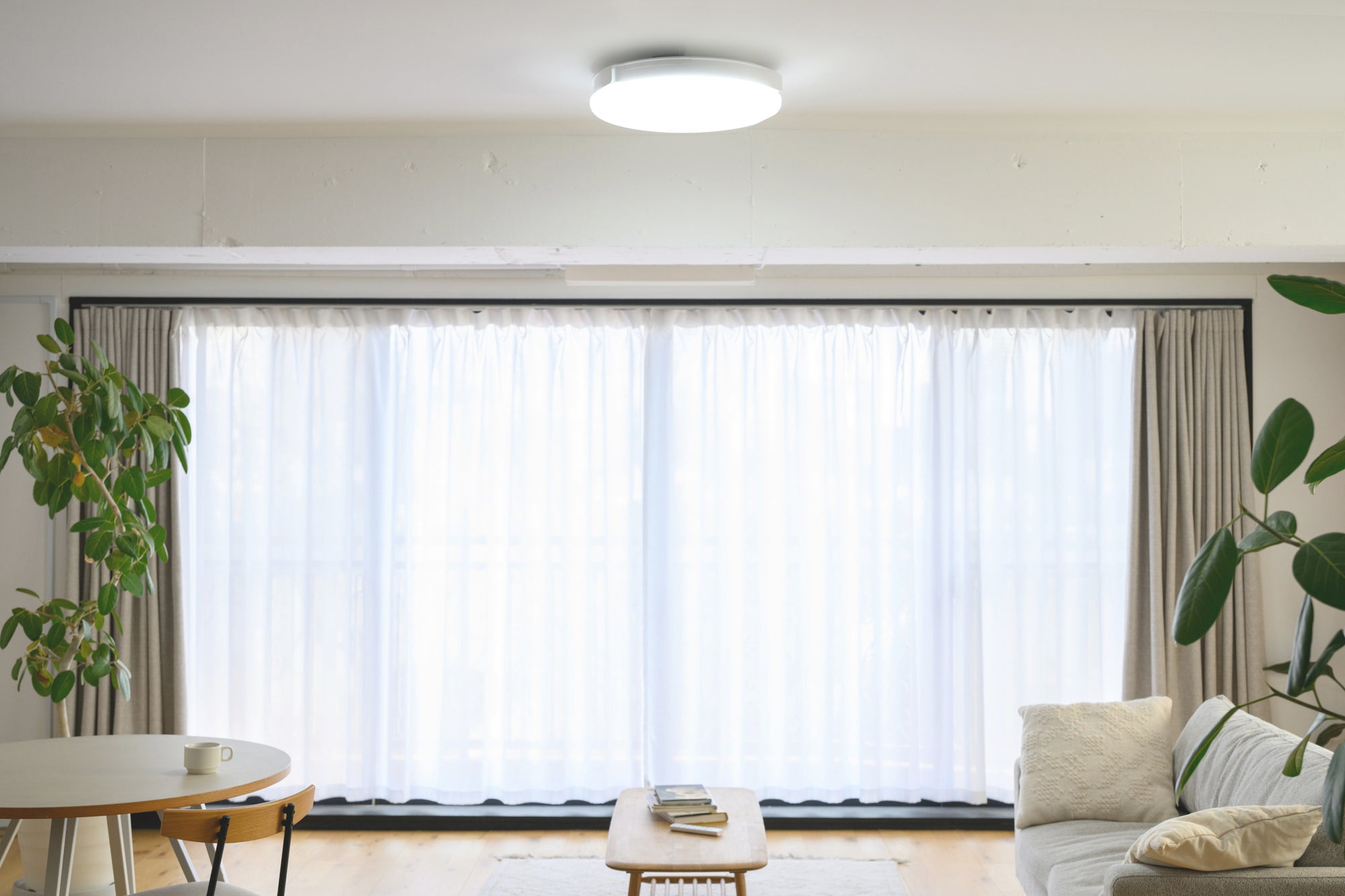 UZUKAZE 3 – SWAN ONLINE STORE