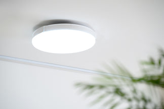 UZUKAZE 3 – SWAN ONLINE STORE